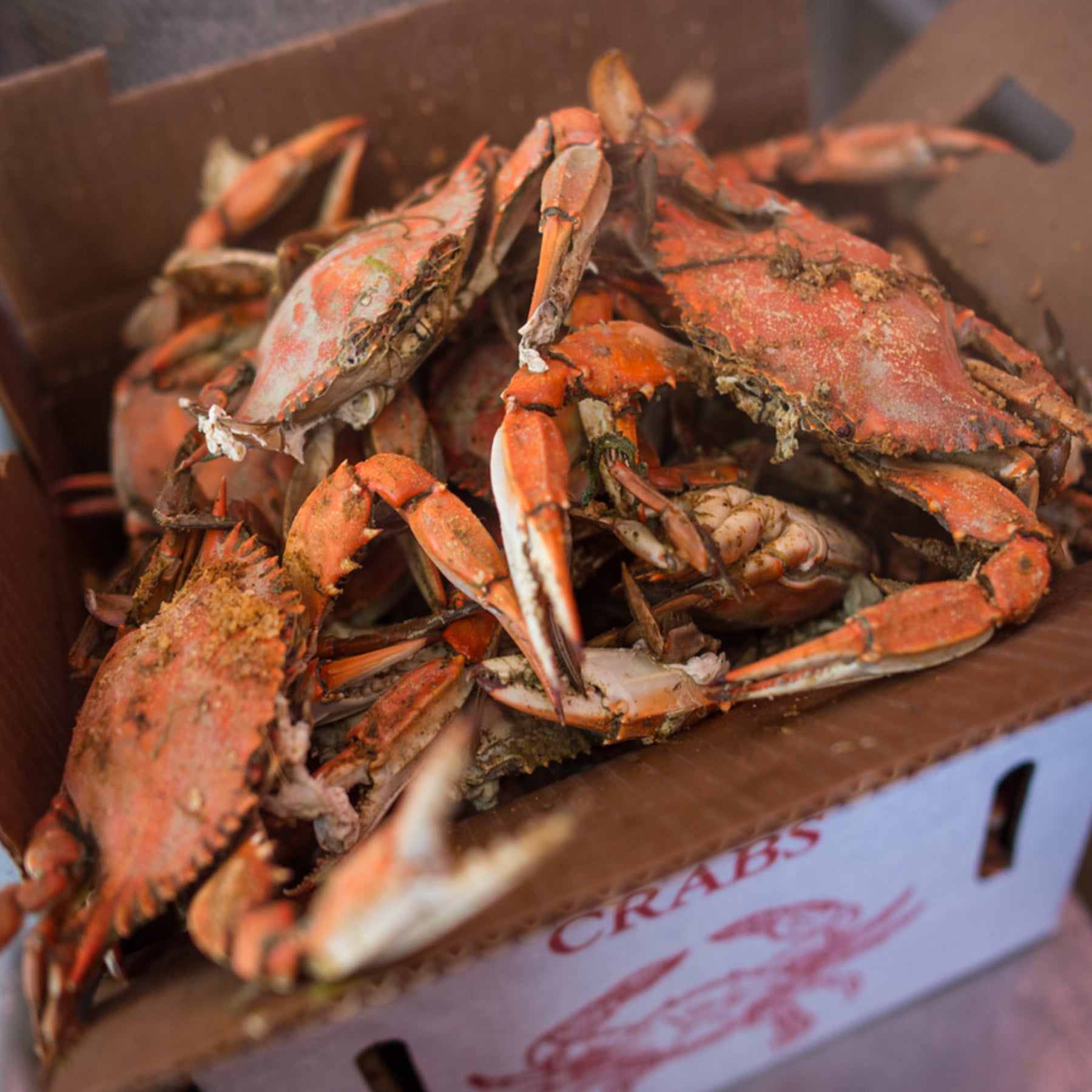 Buy Standard Male Crabs Online - Shipped Anywhere in the USA